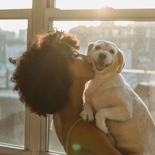 Colecciones – Vuala